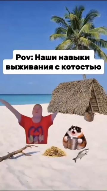 Котость