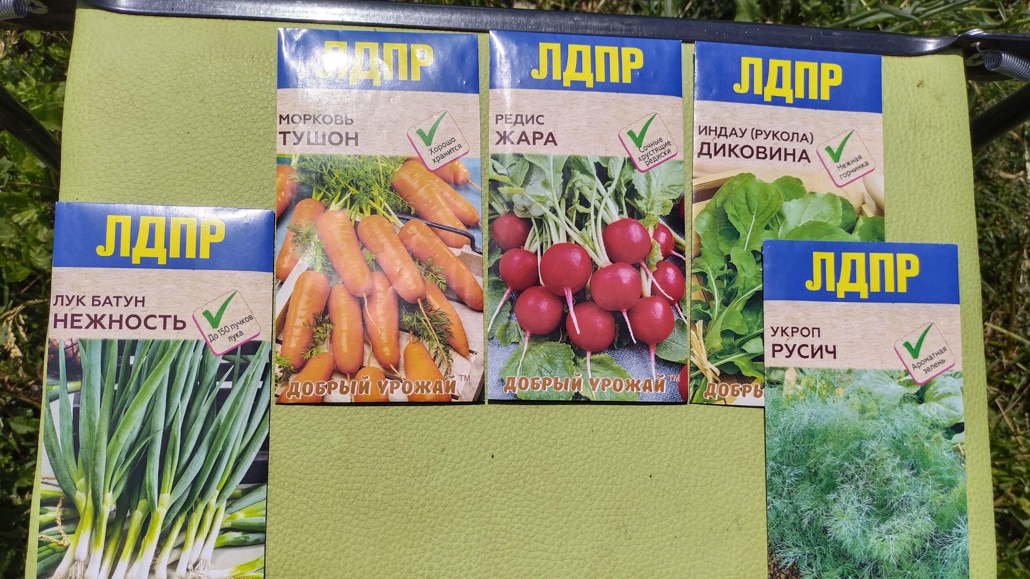Семена ЛДПР сей на грядку