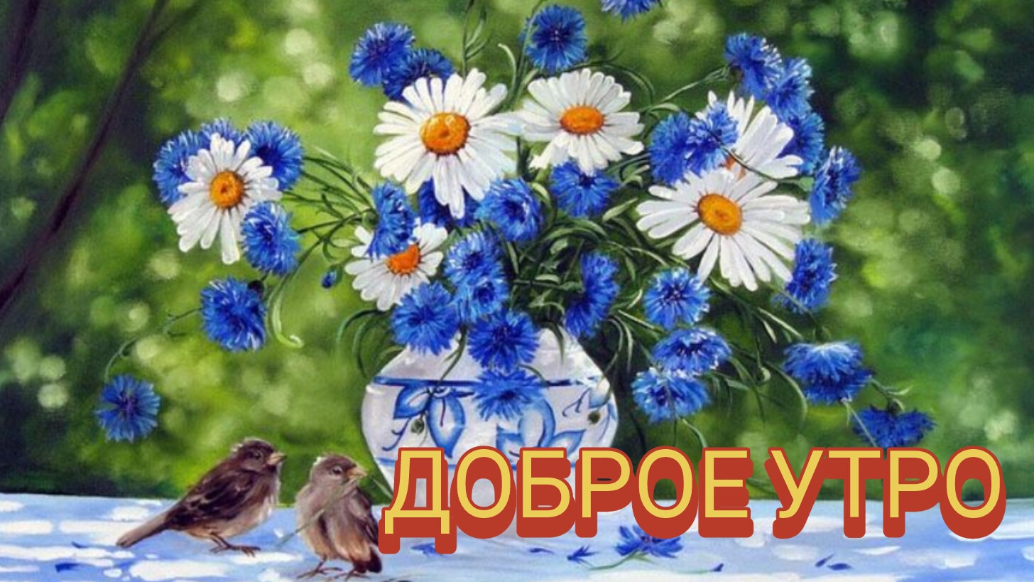 С добрым июньским утром. Шикарная музыкальная открытка.
