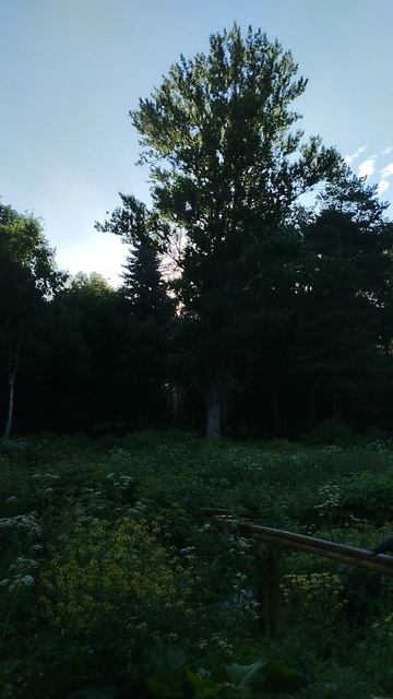 PXL_20260609_060027181
