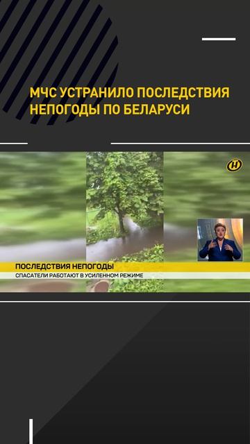 МЧС устранило последствия непогоды по Беларуси