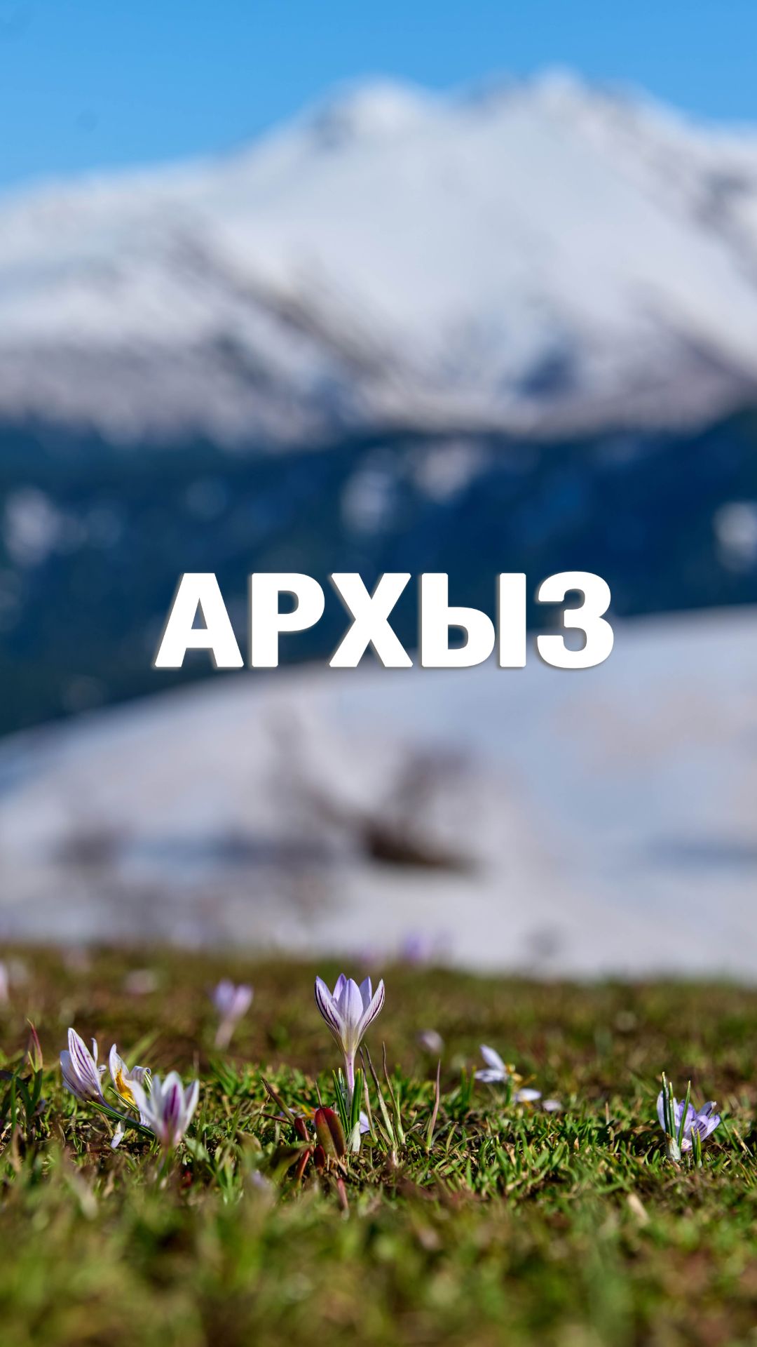 Архыз, горы, природа и хорошая компания #Архыз #горы #кавказ #природа #заповедник #путешествие