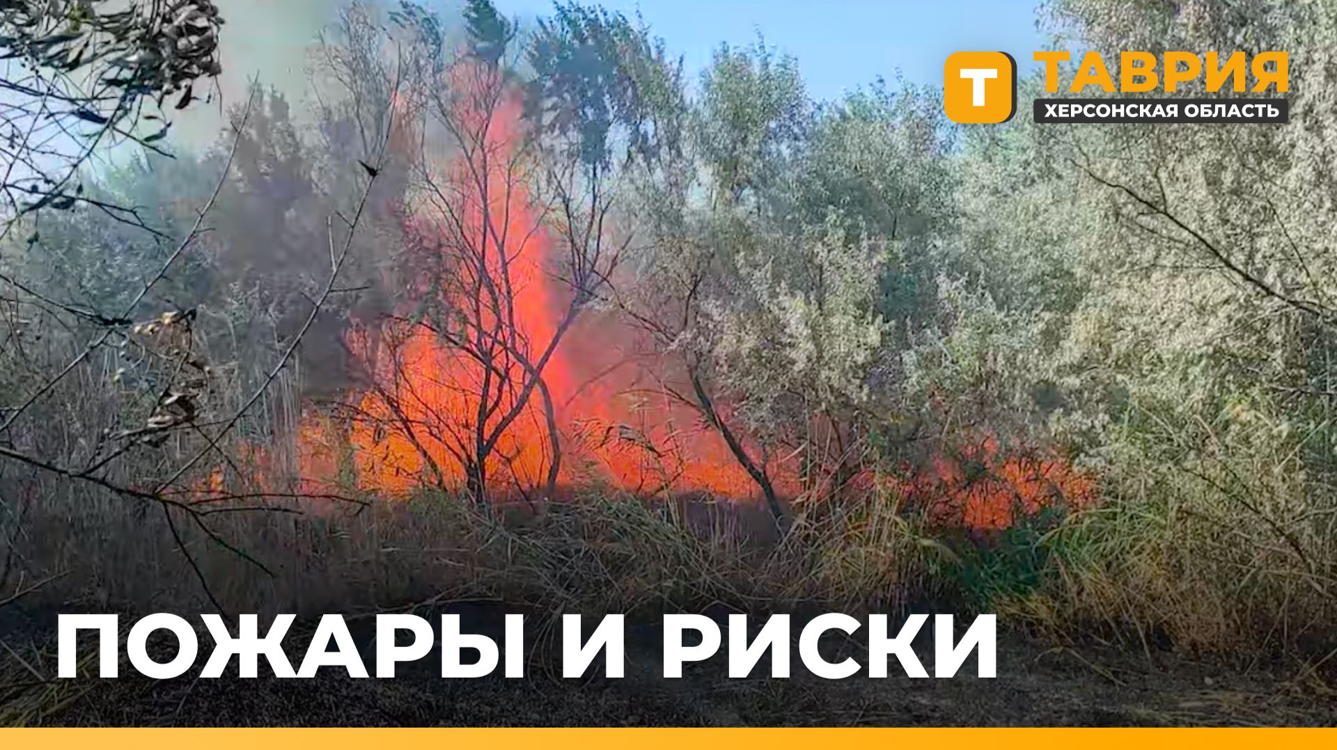 В трех округах Херсонской области действует особый противопожарный режим
