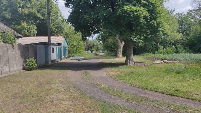 Так хорошо начинался день. Закончилось всё тяжёлым сердцем