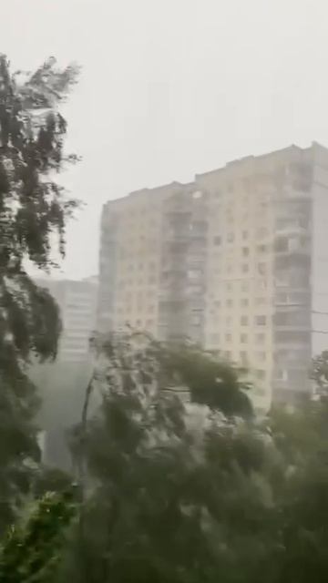 Последствия непогоды в Москве
