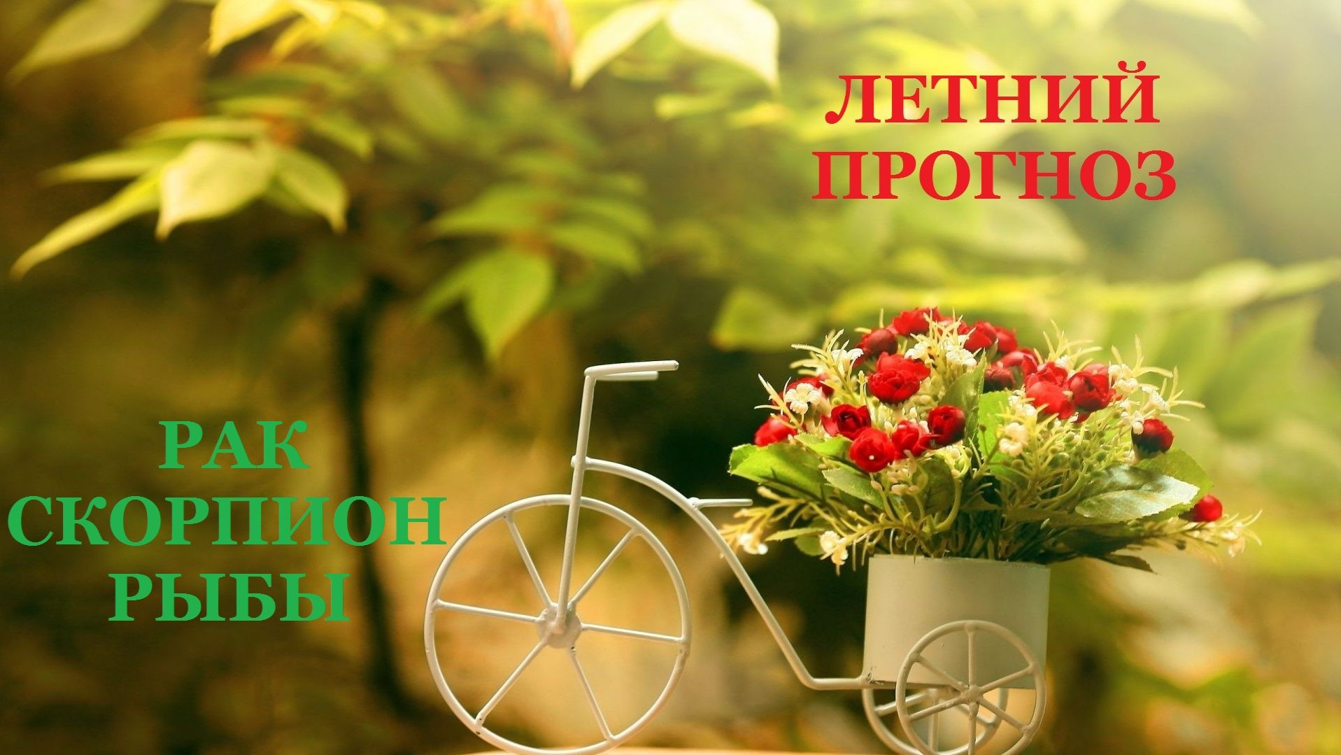 ЛЕТНИЙ ПРОГНОЗ ДЛЯ ЗНАКОВ ВОДЫ