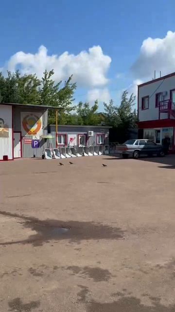 10.06 покупка газонокосилки