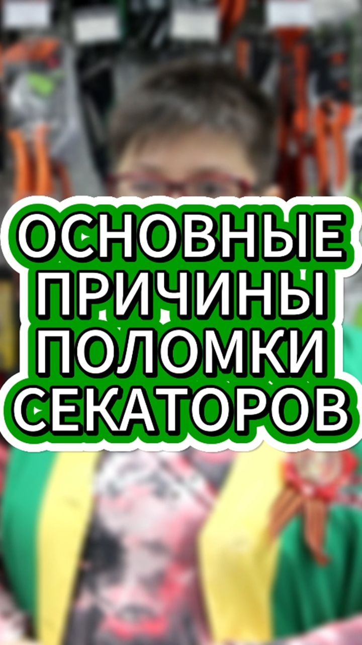 Короткие ролики