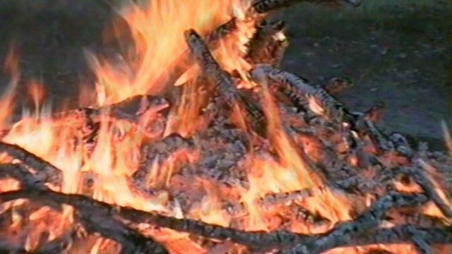Дружба остаётся с нами… 1996 год