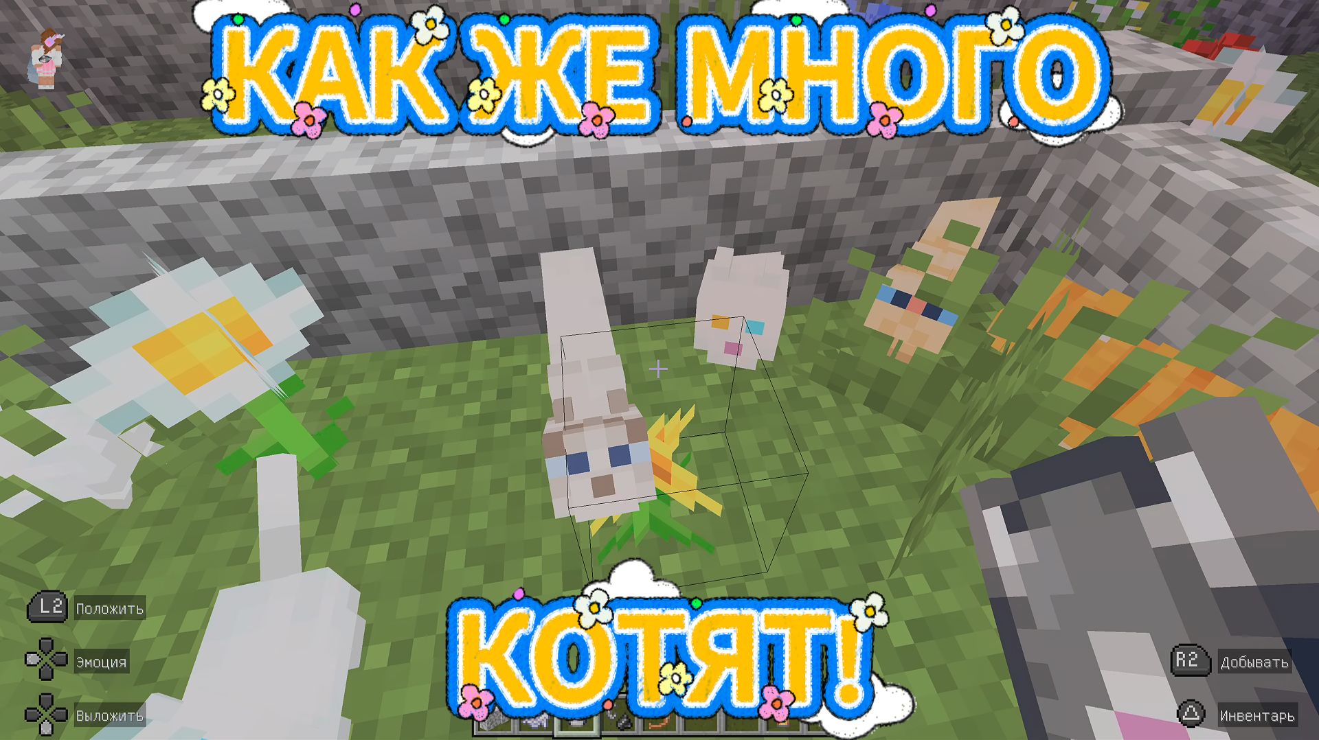 КАК ЖЕ МНОГО КОТЯТ! Играем c Amira Cat в Minecraft (Майнкрафт)
