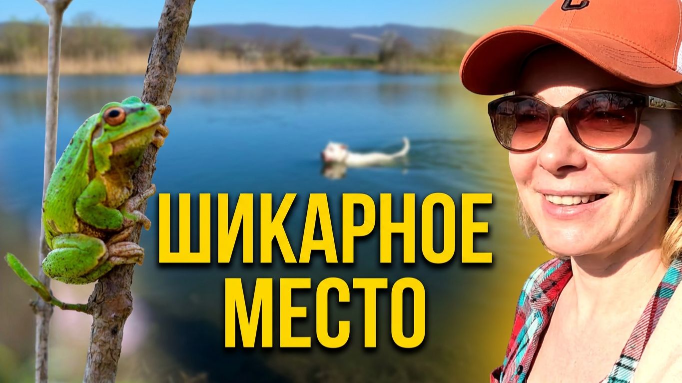 Как можно отдохнуть и кайфануть всей семьей с собакой?