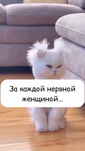 За каждой нервной женщиной... 🤪