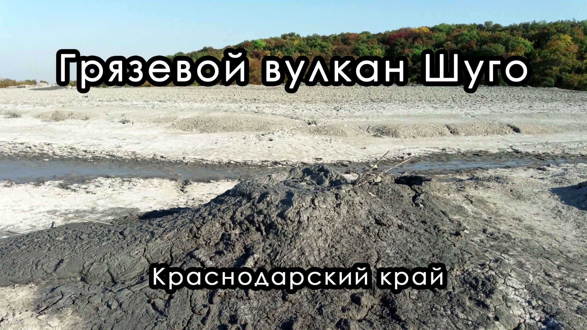 Прогулки