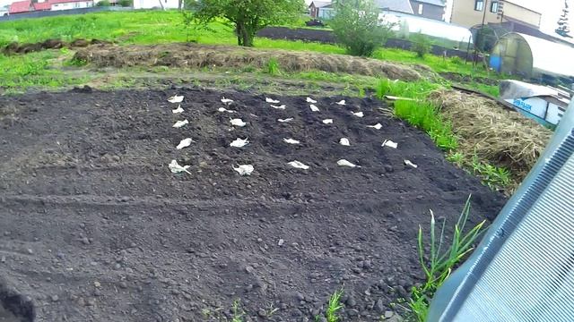 И всё таки жена у меня рукодельница.