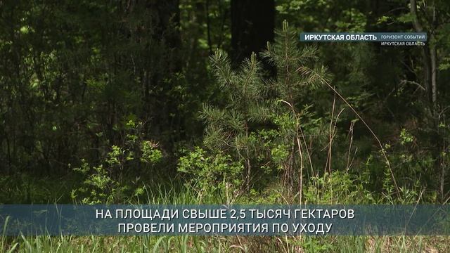 Главные новости Иркутской области, 10 июня 2026 года