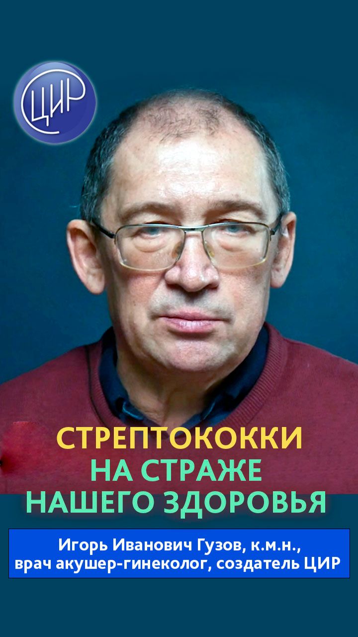 Микрофлора кишечника и полезные стрептококки: где они живут и как защищают нас от патогенов.