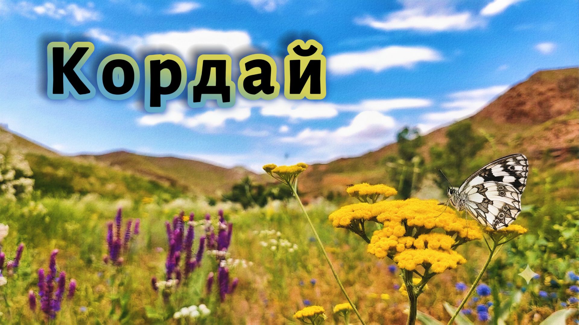 Кордай | Луговая аптека | Множество цветов и насекомых | 7 июня 2026