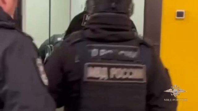 Ирина Волк: В Петербурге полиция пресекла деятельность группы, занимавшейся финансовыми махинациями
