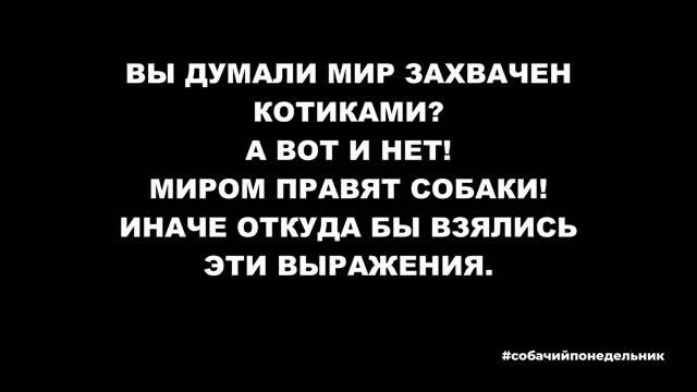 МЫ ОКРУЖЕНЫ