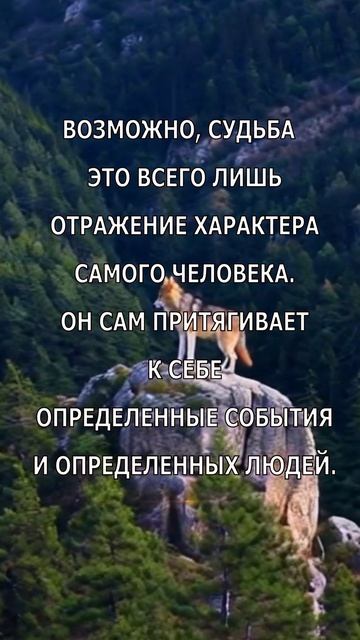 это всего лишь отражение