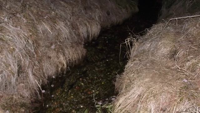 Алага оюну 5 класс капсырылга