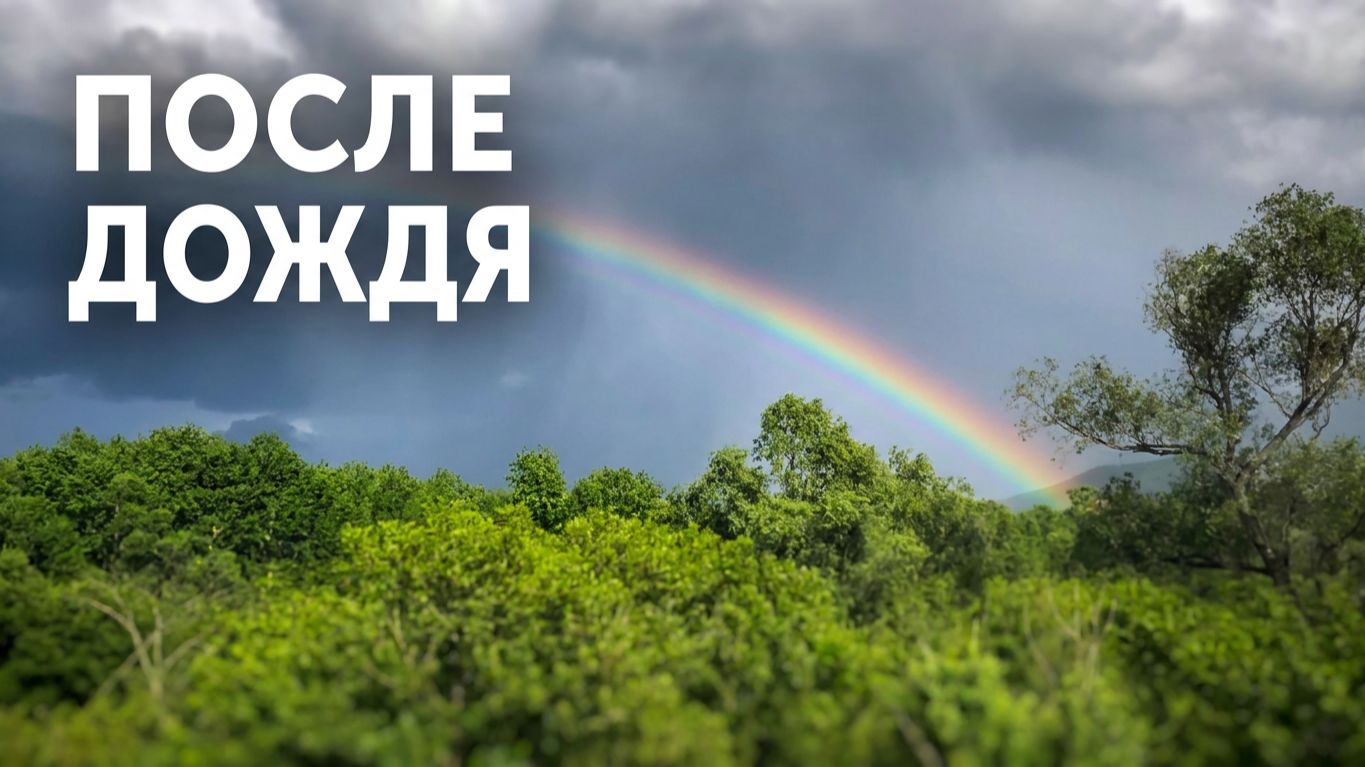 Когда идёт дождь, кажется, что вот-вот что-то вспомнится.