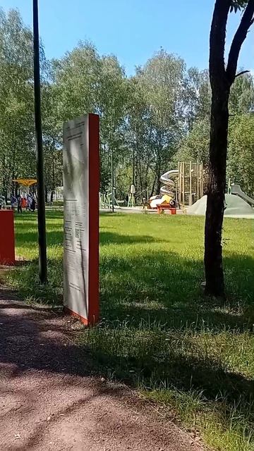 Короткие Видео