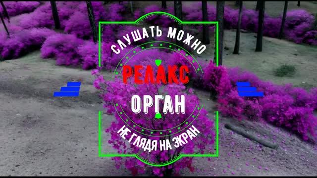 Орган. Релакс от ИИ