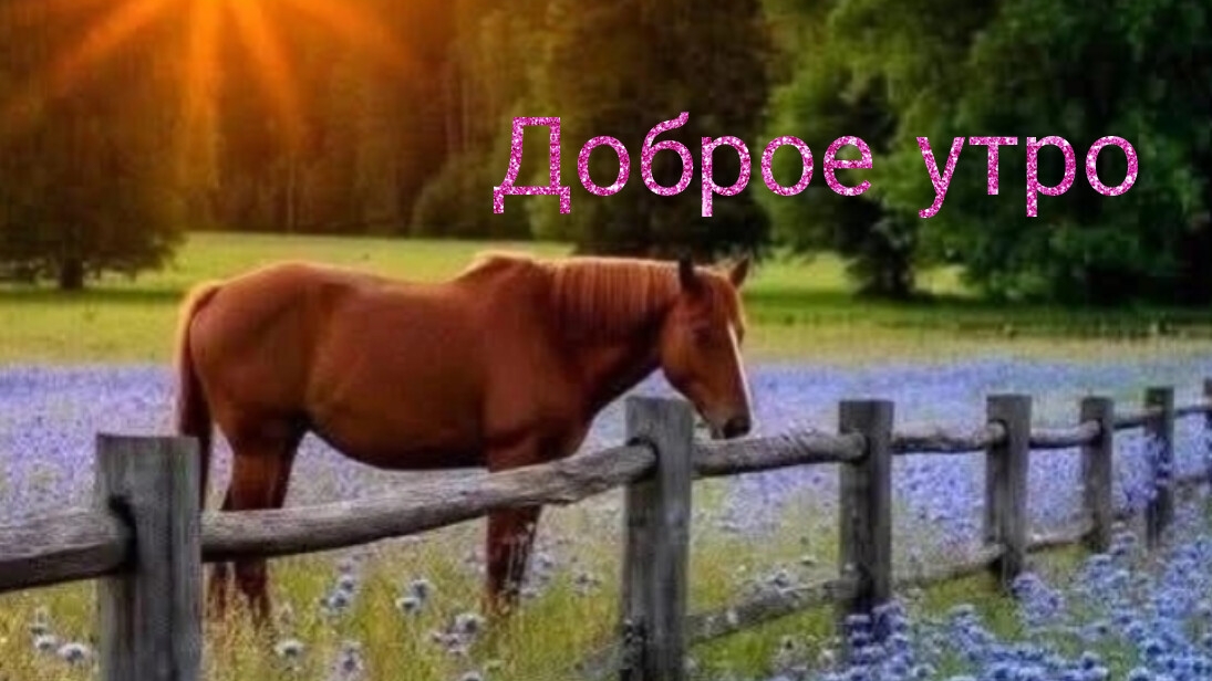 Доброе солнечное утро! Шикарная музыкальная открытка.
