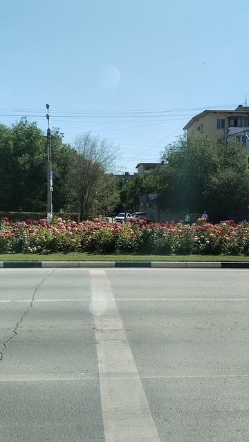 Мой город/Проспект/Розарий