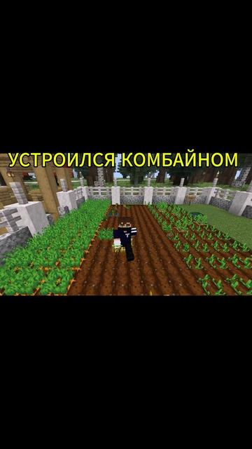 TITAN  - ПРОМЫШЛЕННЫЙ КОМБАЙН