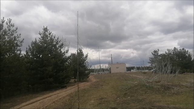 Весенняя ловля певчей птицы ( щеглы) 2026г