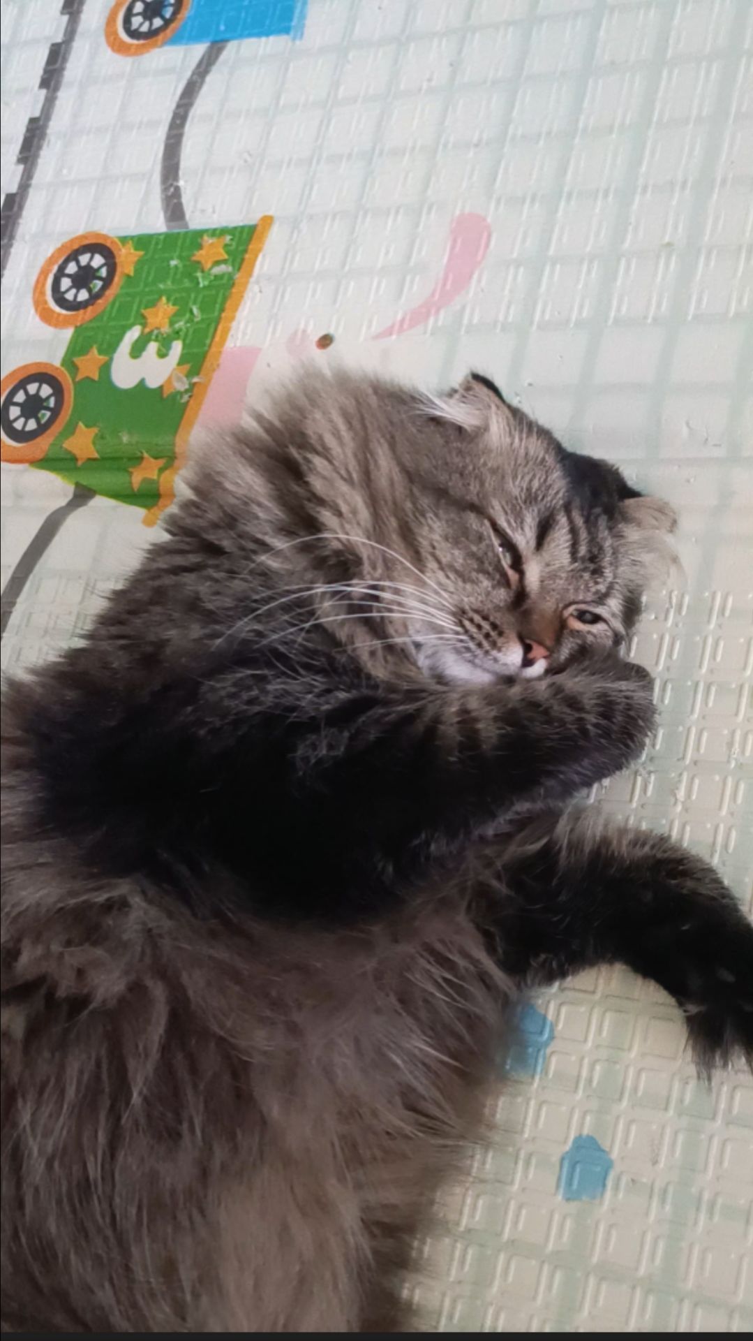 МАЛЫШИ УСТАЛИ #cats #кот #shorts #kids #дети