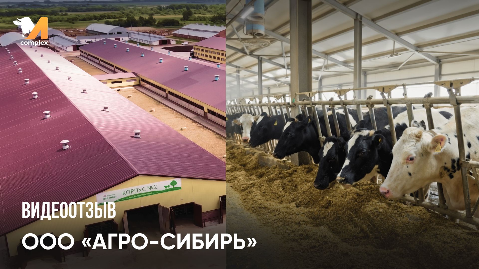 Видеоотзыв ООО "Агро-Сибирь"