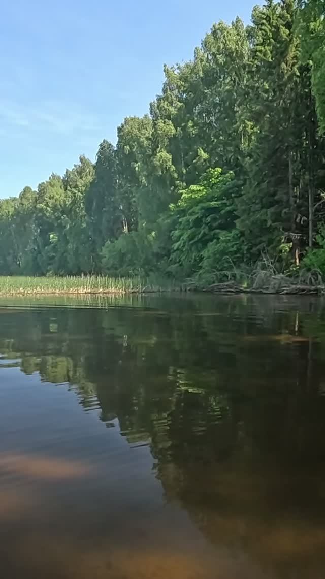 Закон подлости на рыбалке ))