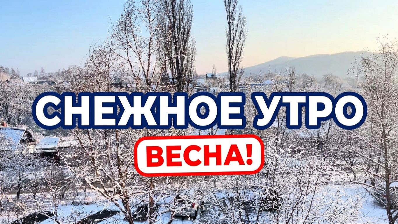 Утро 13.03.2026. Снег выпал, птицы поют! Весна