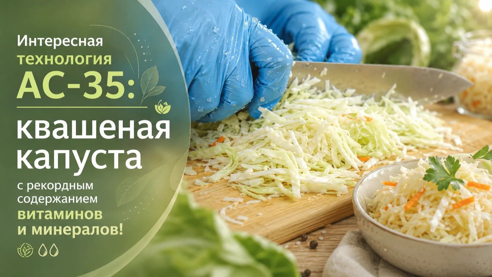 Квашеная капуста, которая заменит БАДы? Ферментированный продукт нового поколения!