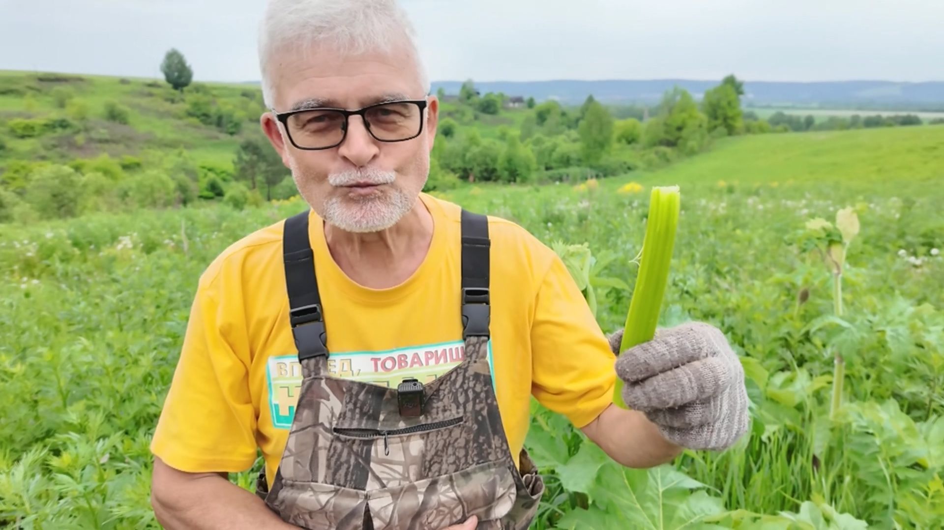 Вперёд, товарищи! На дачу! Выпуск от 09.06.26