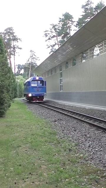 Звук тифона и свистка у тепловоза ТУ2-241.