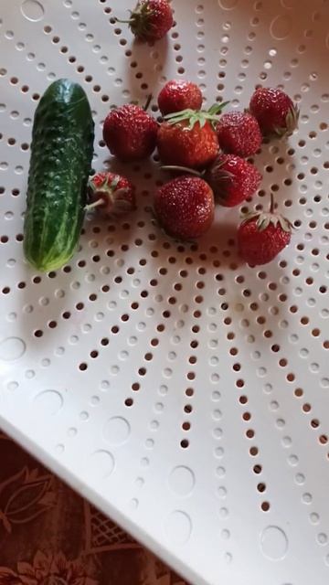 Легкий завтрак