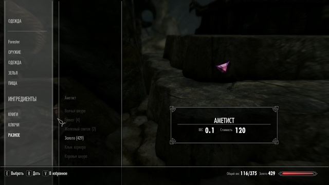 The Elder Scrolls V- Skyrim Special Edition - 2026-06-11 21-32-13