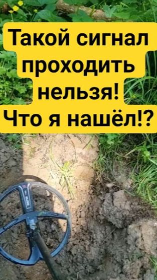 Такой сигнал проходить нельзя! Что я нашёл!?