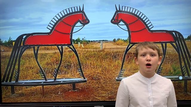 Дикие кони из Лешуконья