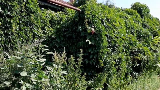 Поездка в поселок Пинеровка #Балашовского района Саратовской области