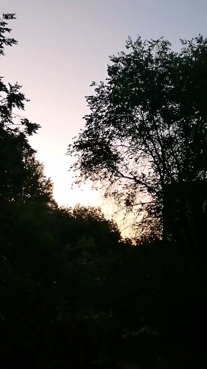 Завершила процесс и встречаю рассвет 🌅