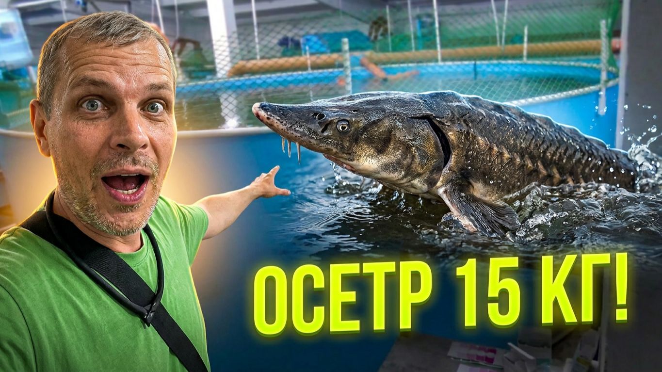 Форель и Осетр! в Гостях у Касимовской Фермы в Касимове!