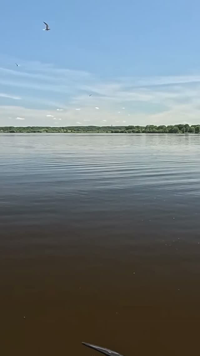 Жереховый котел а мы без снастей ))
