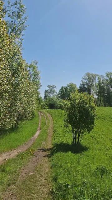 вело-лето Красноярск 2026