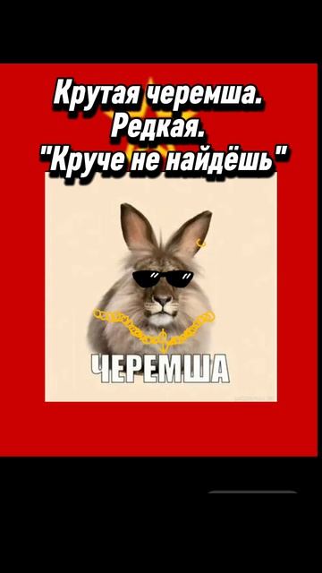 СССР боксы часть 1