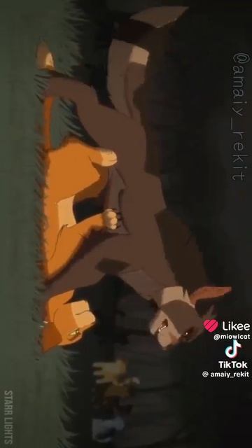 Коты воители